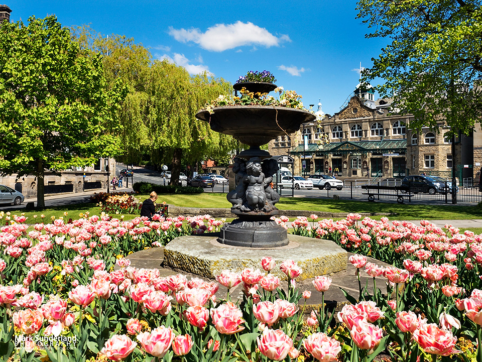 Harrogate Royal Hall Jigsaw Added! – Mark Sunderland Photography