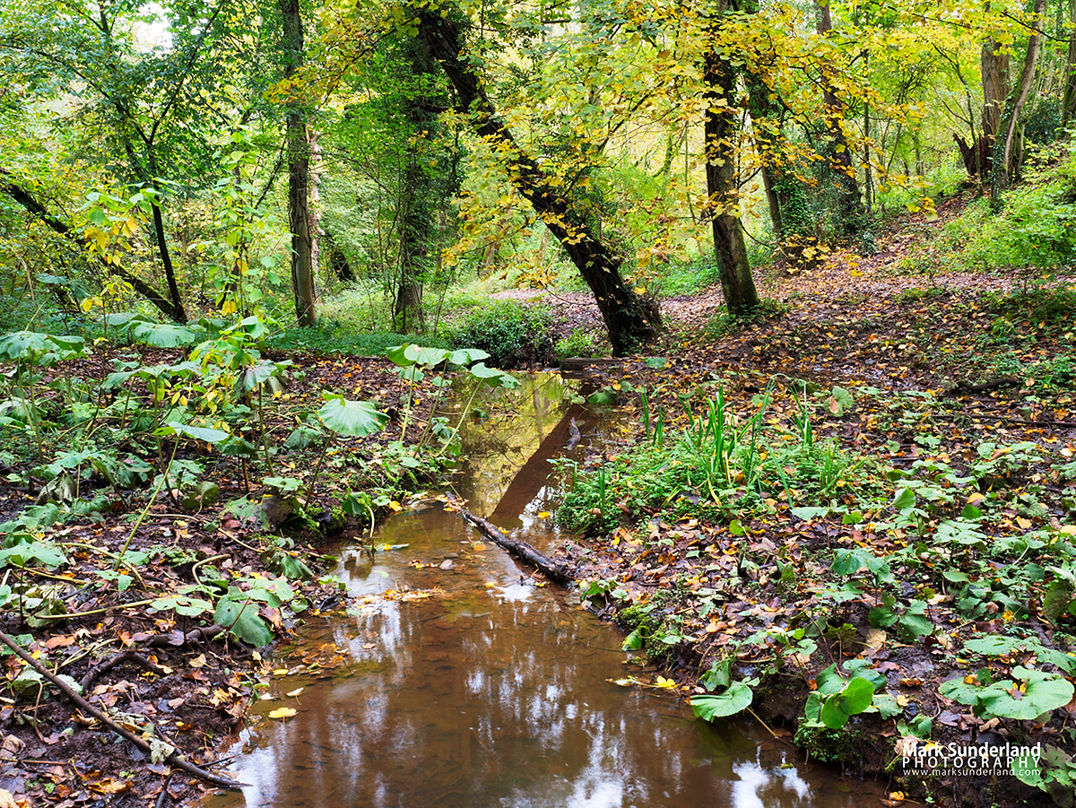 Yorkshire Photography – Mark Sunderland Photography