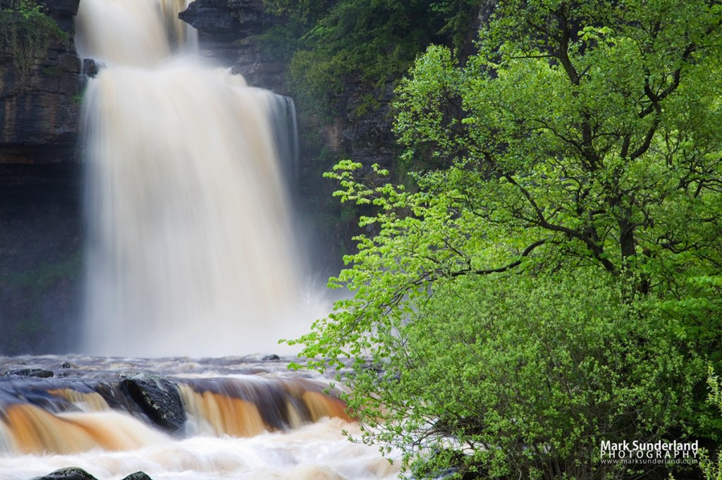Gallery – Mark Sunderland Photography