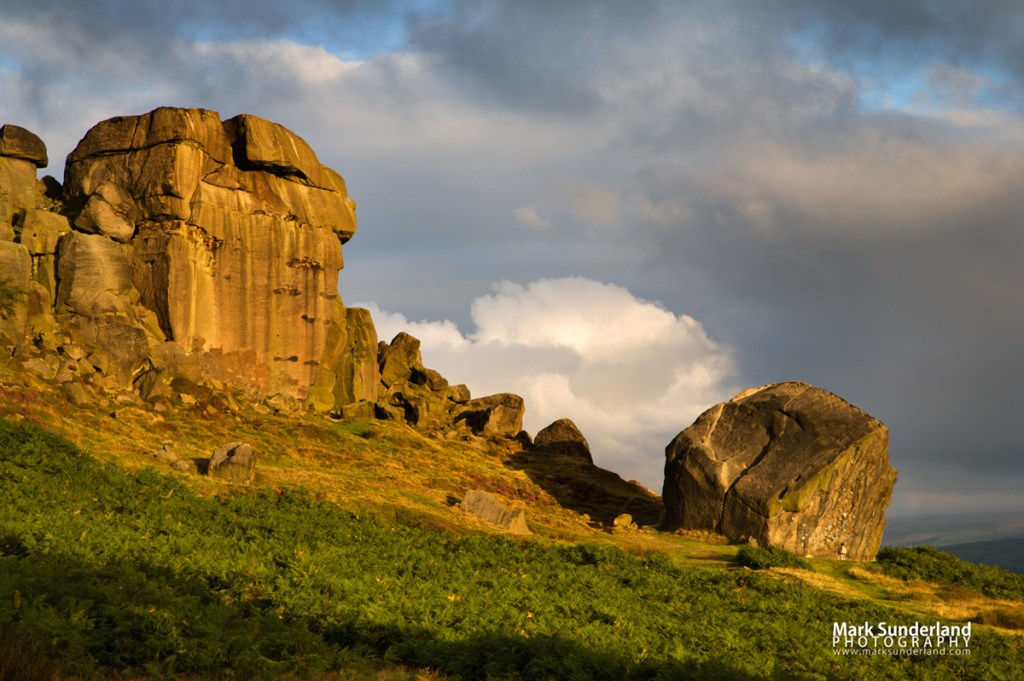 Gallery – Mark Sunderland Photography