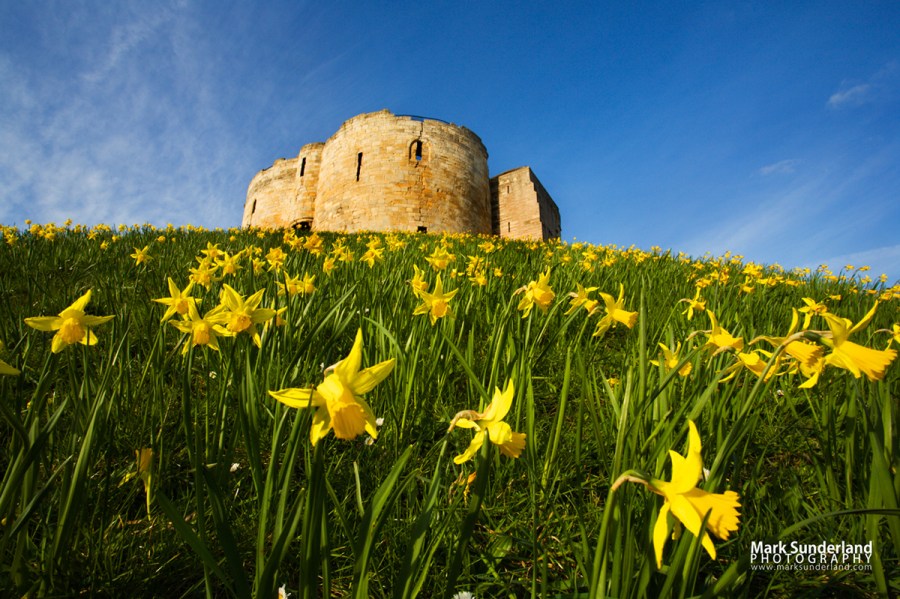 Gallery – Mark Sunderland Photography