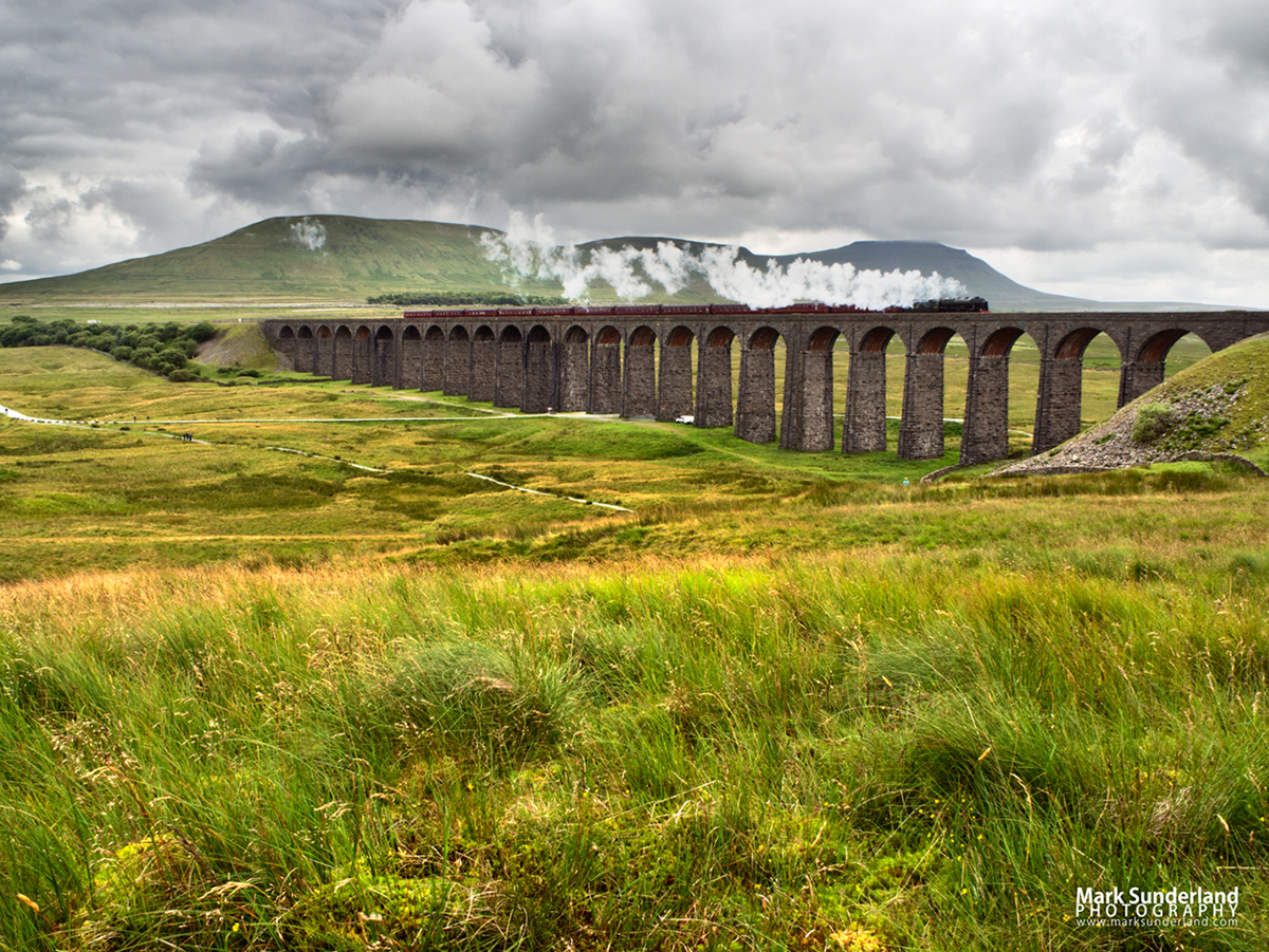 Gallery – Mark Sunderland Photography