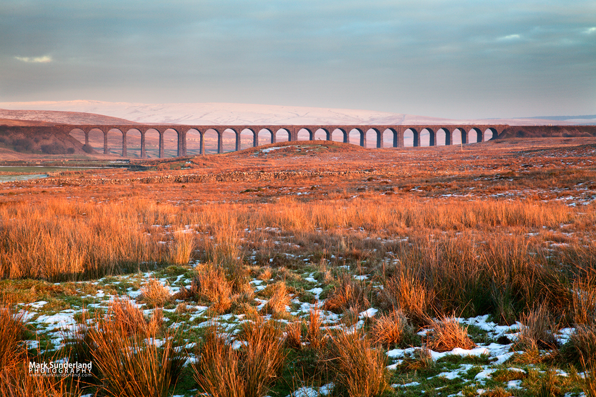 Gallery – Mark Sunderland Photography