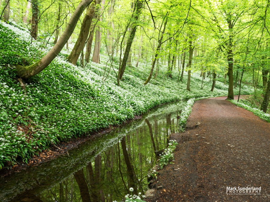 Gallery – Mark Sunderland Photography