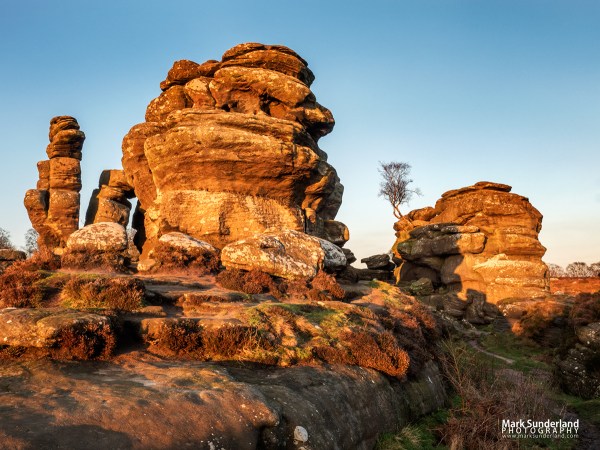 Gallery – Mark Sunderland Photography