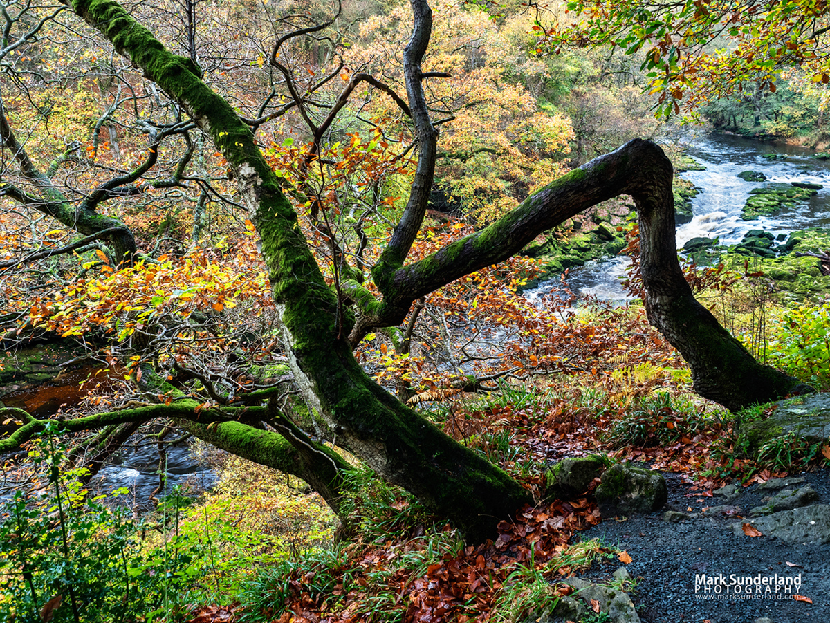 The Final Workshop! – Mark Sunderland Photography